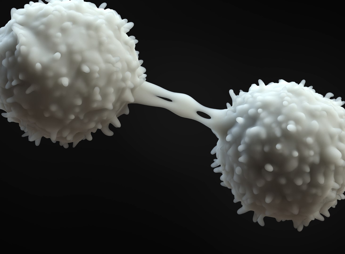 Lymphocyte Blood Cells 3D Model - TurboSquid 1497743