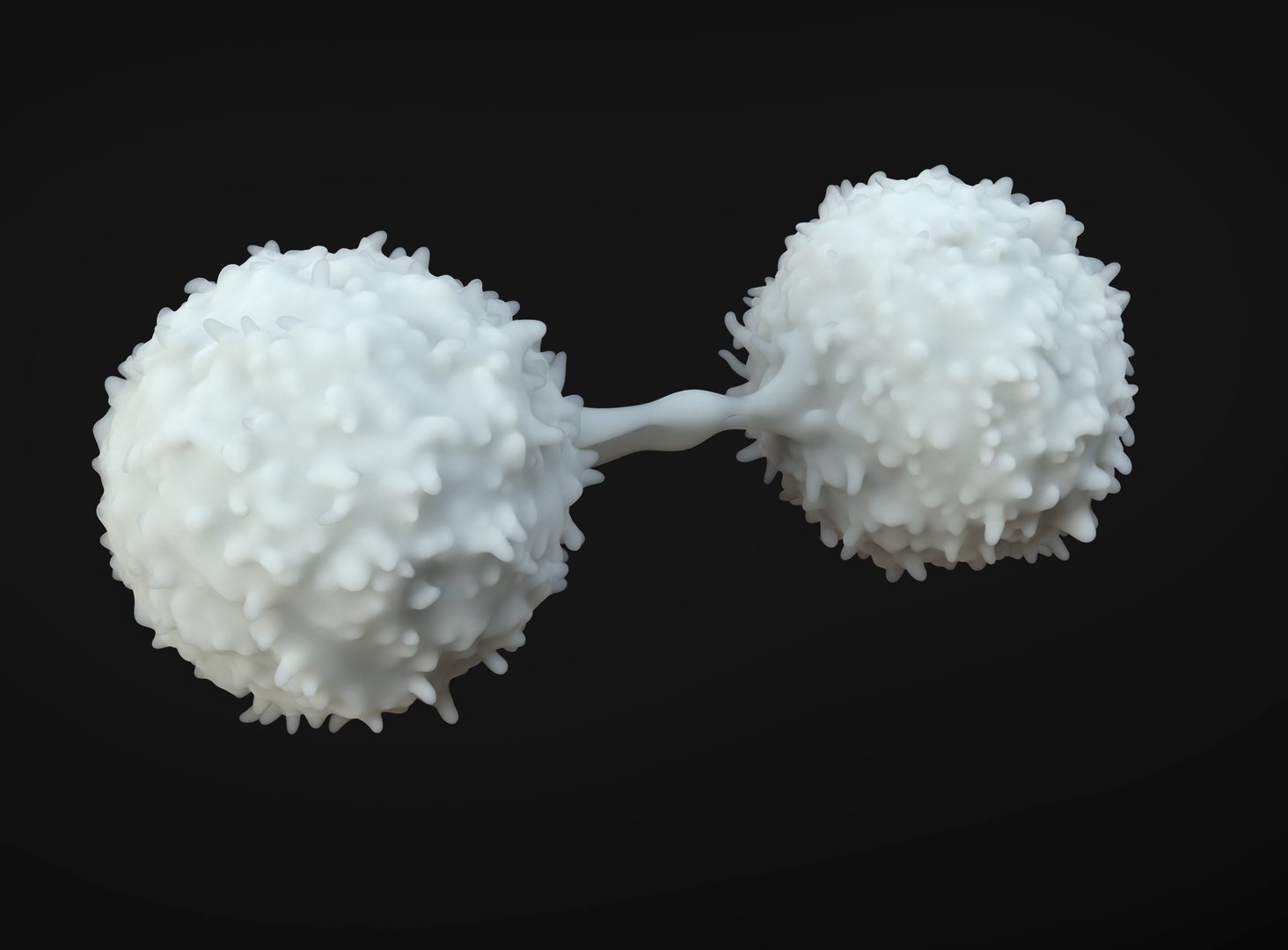 Lymphocyte Blood Cells 3D Model - TurboSquid 1497743