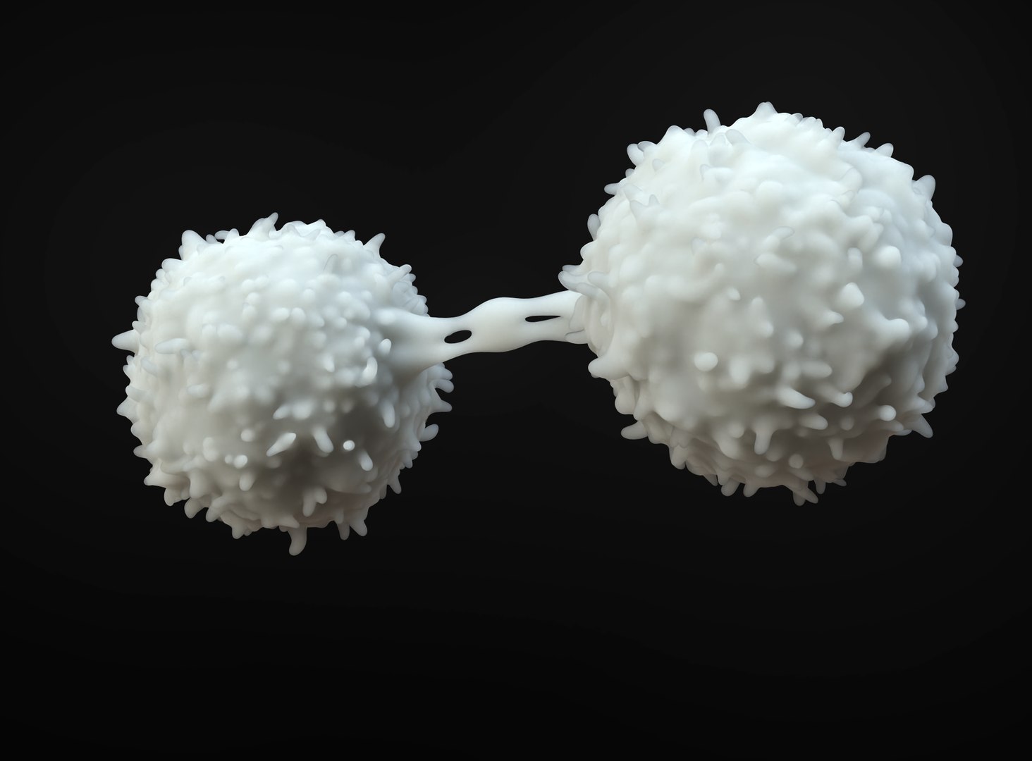Lymphocyte Blood Cells 3D Model - TurboSquid 1497743