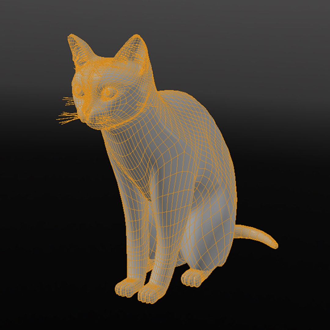 Cat 3d Model