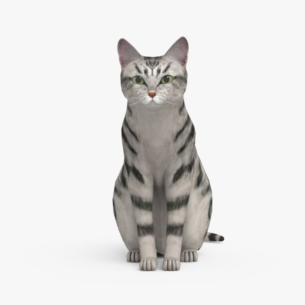 3d model cat