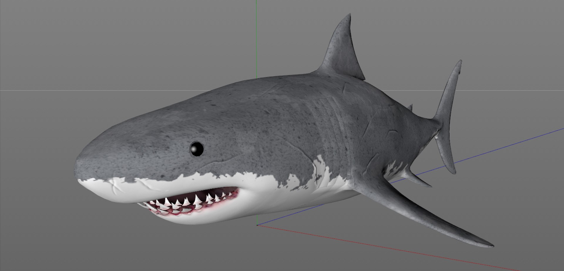 Swim Shark 3d Model