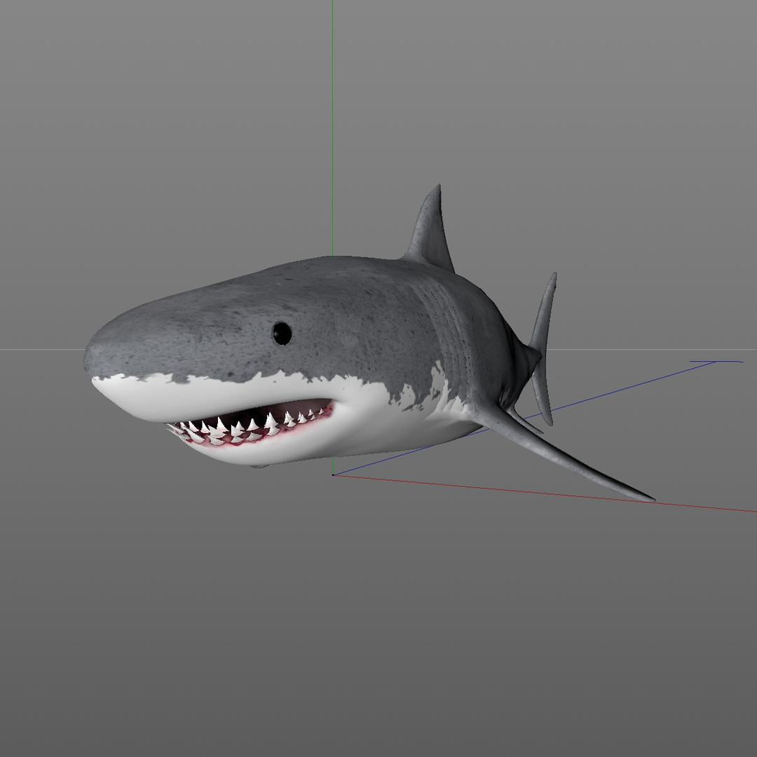 Swim Shark 3d Model