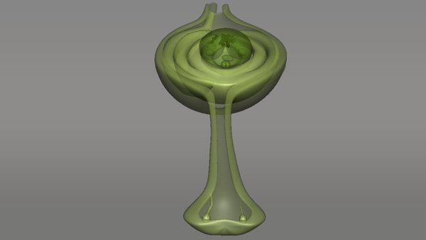 3d model fertilization