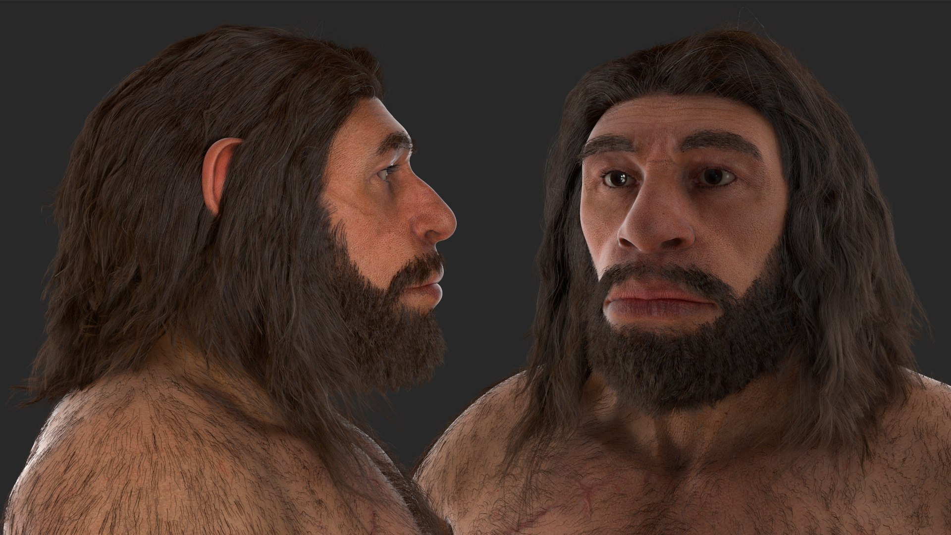 Ancient Neanderthal Fur Rigged 3D model - TurboSquid 2097752