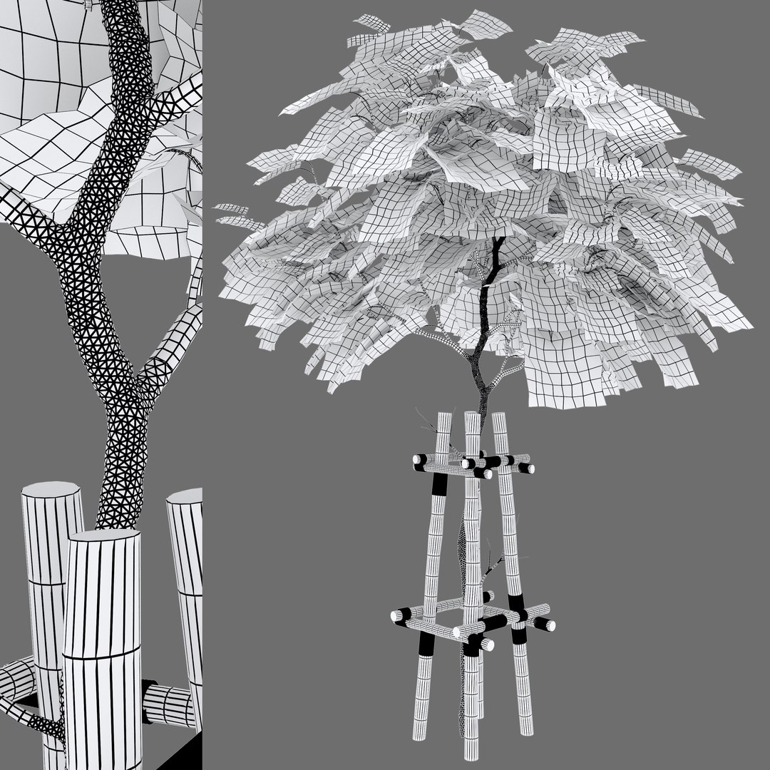 Catalpa Tree 3D Model - TurboSquid 1930684