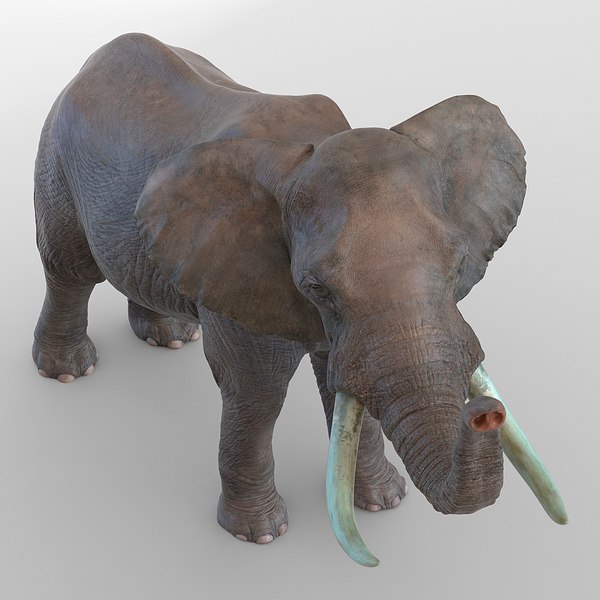 3d elephant pose 3