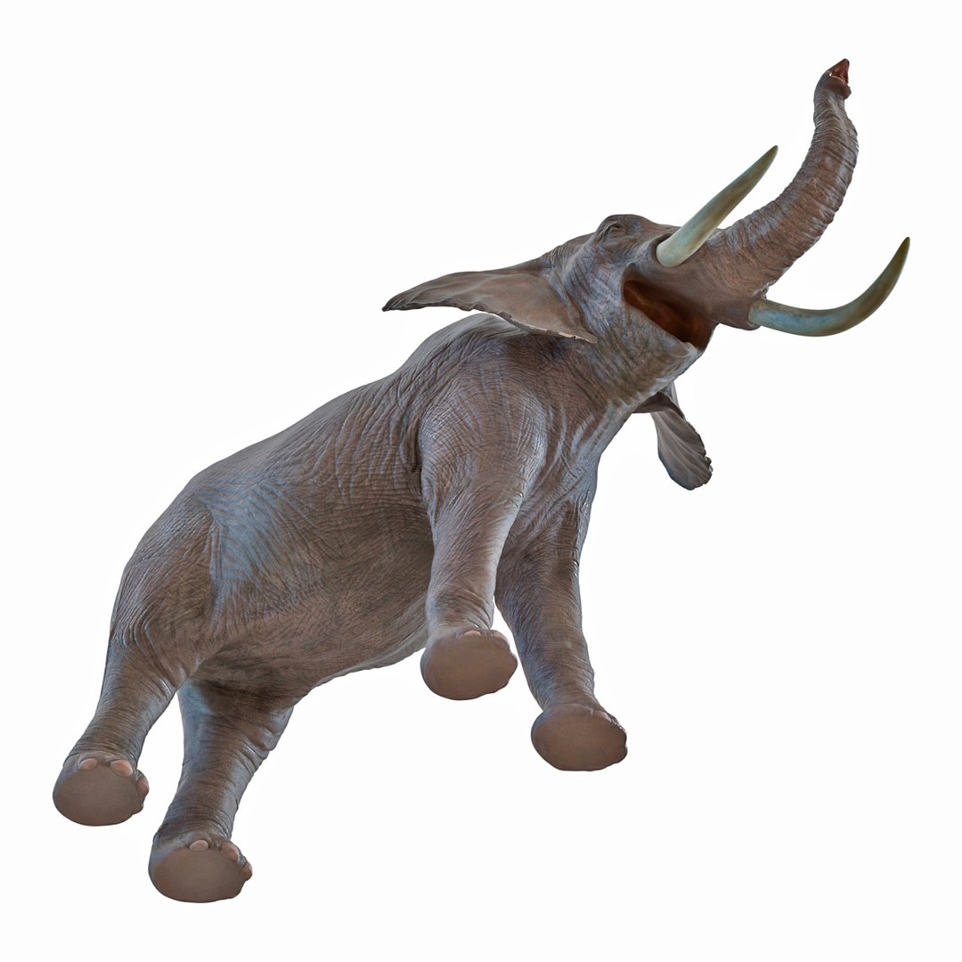 3d elephant pose 3
