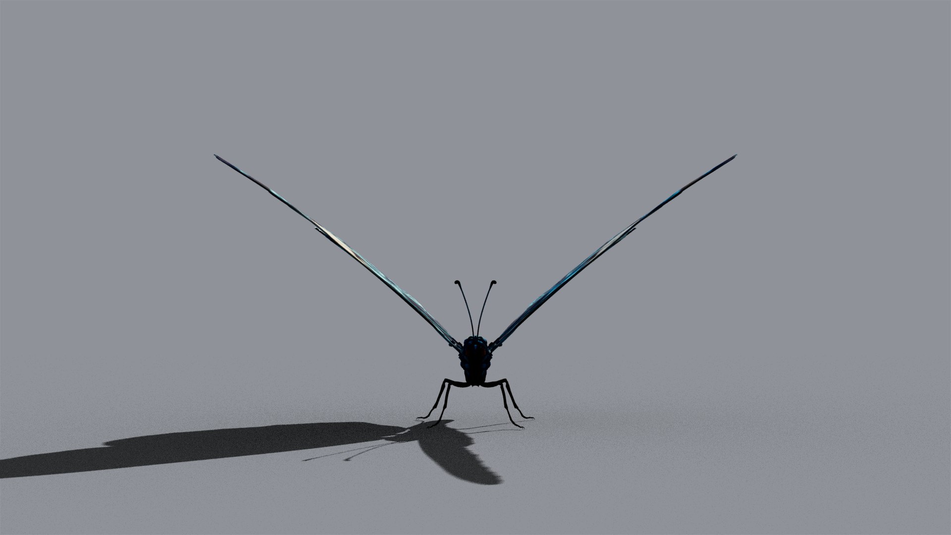 Butterfly Blue Cracker 3D - TurboSquid 2420596