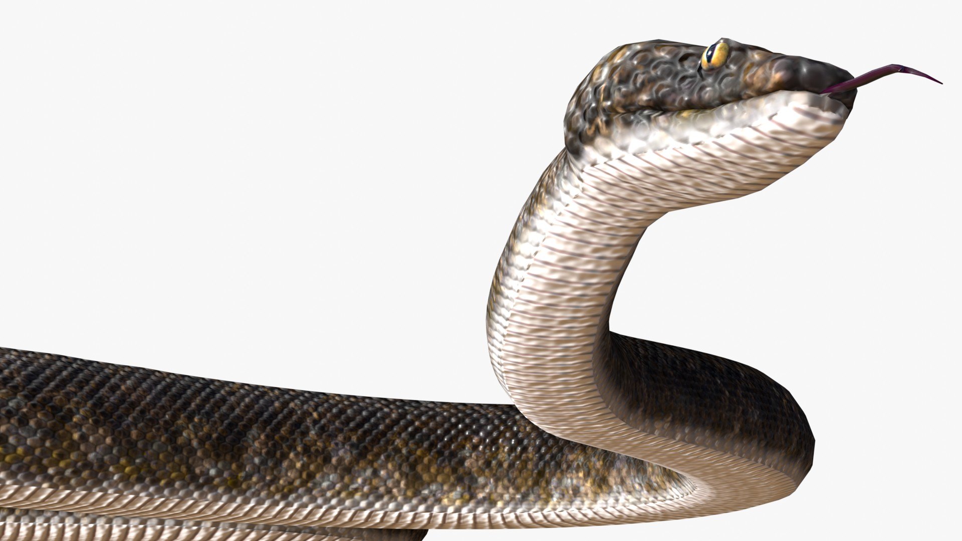 Crawling snake loop animation 3D model - TurboSquid 1639323