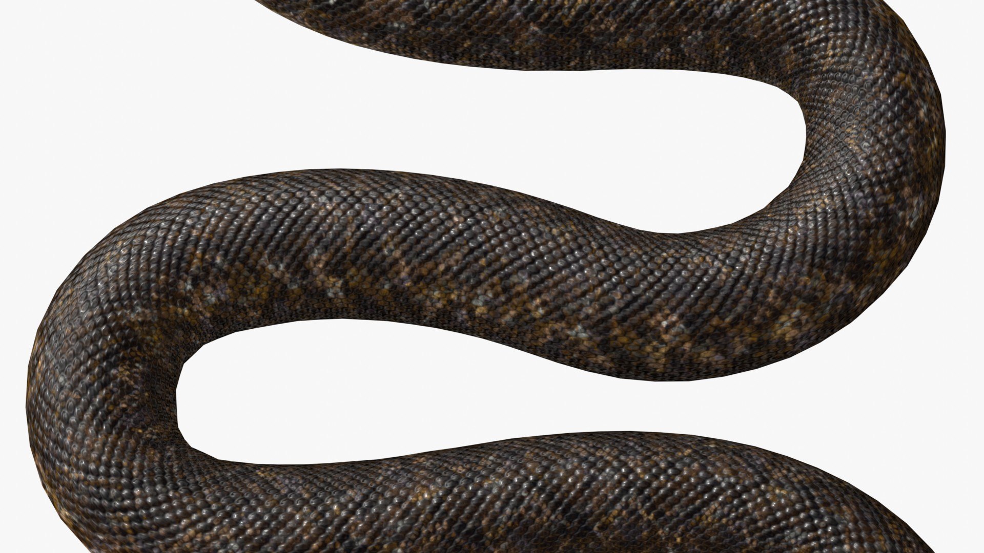 Crawling snake loop animation 3D model - TurboSquid 1639323