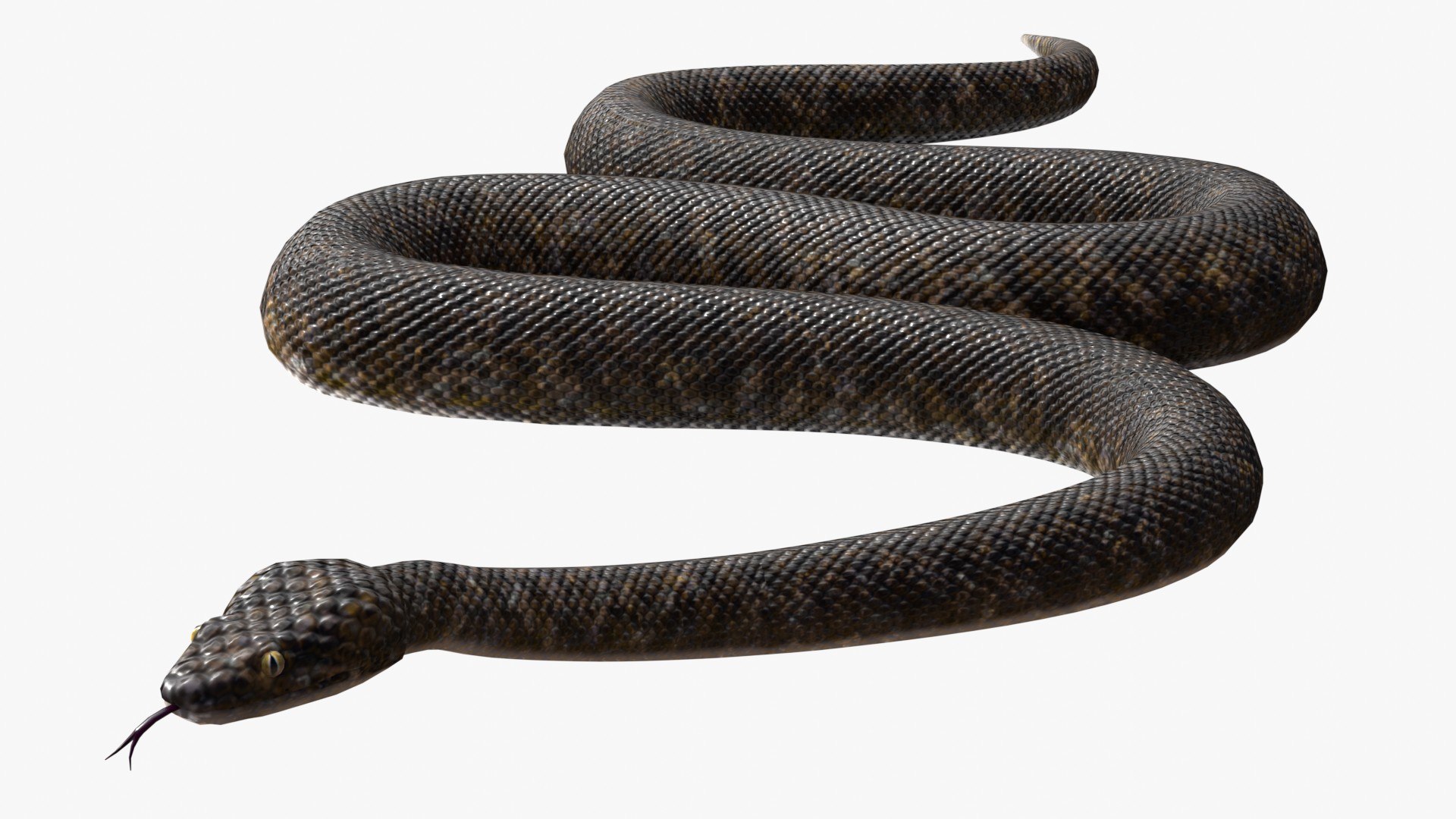 Crawling snake loop animation 3D model - TurboSquid 1639323