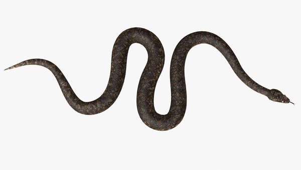 modelo 3d Crawling Snake - Activo del juego animado - TurboSquid 1639323