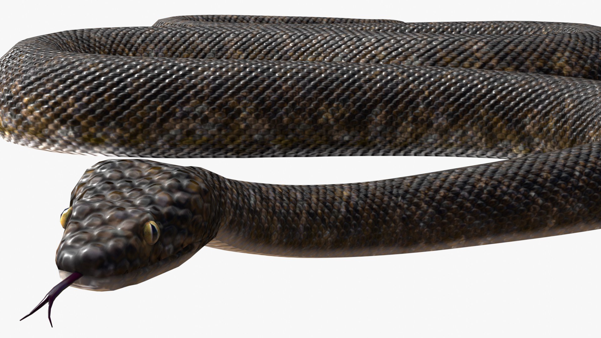 Crawling snake loop animation 3D model - TurboSquid 1639323