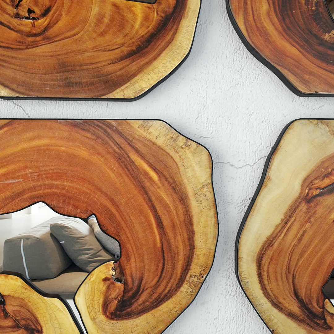 Organic Monkey Pod Mirrors 4 3D - TurboSquid 2124585