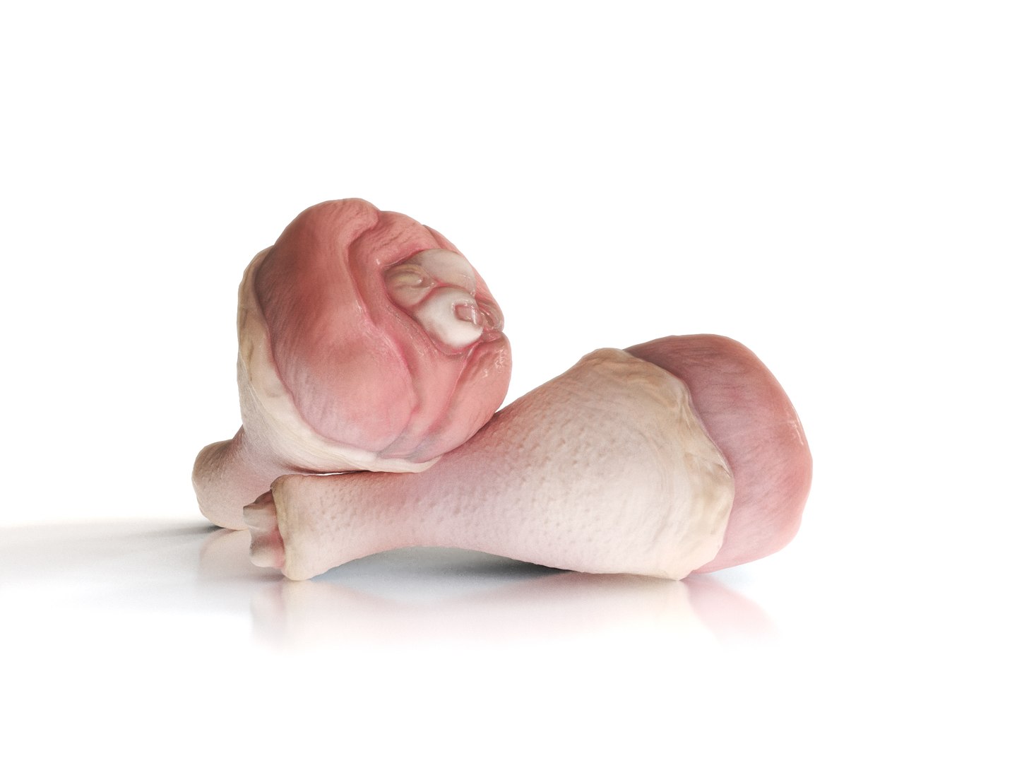 Chicken Food Poultry 3D Model - TurboSquid 1686042