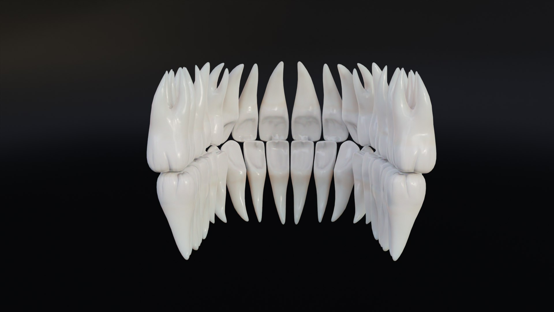 3D Model Clean Human Teeth Realistic And Detailed - TurboSquid 2338424