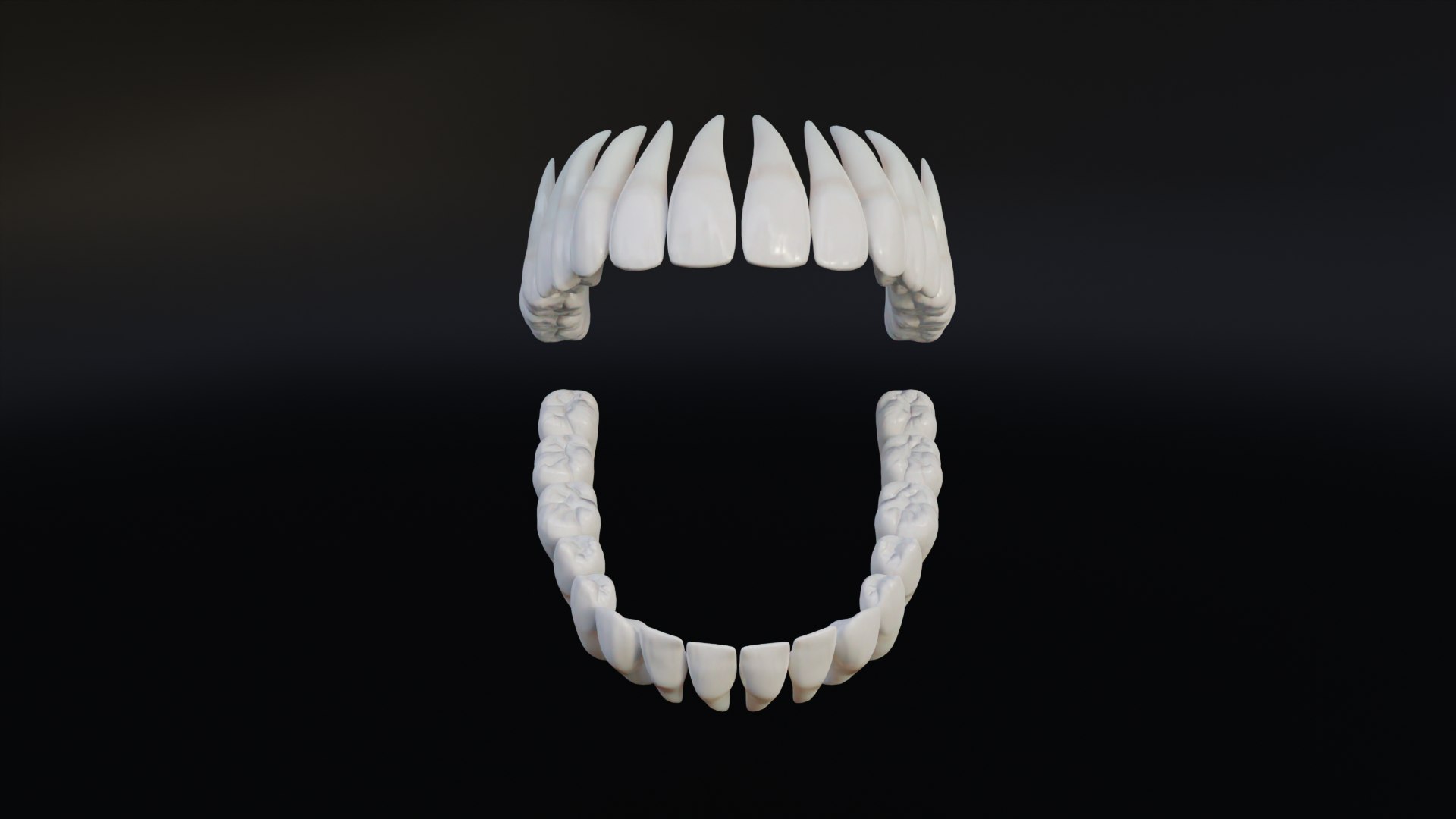 3D Model Clean Human Teeth Realistic And Detailed - TurboSquid 2338424