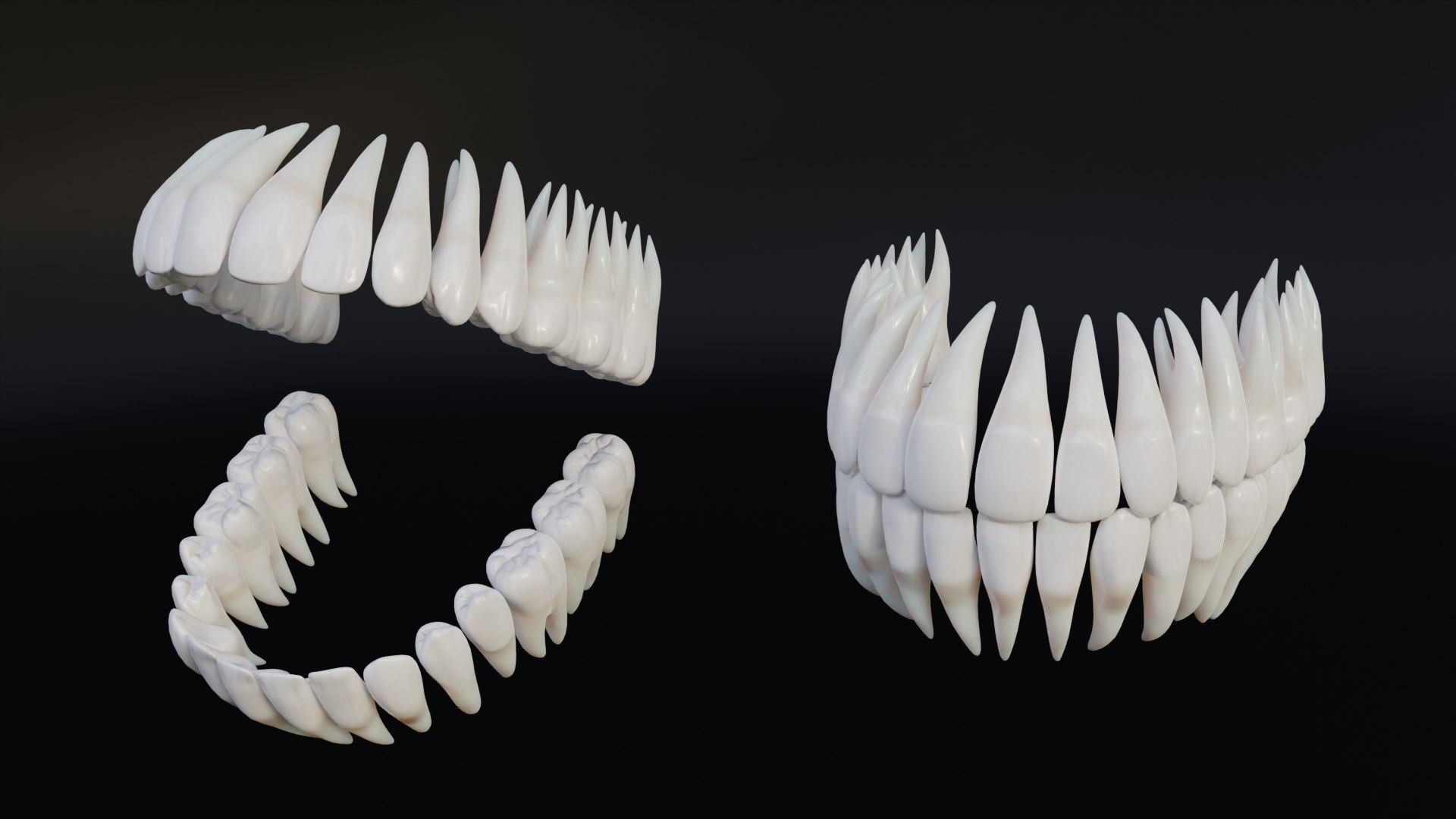 3D Model Clean Human Teeth Realistic And Detailed - TurboSquid 2338424