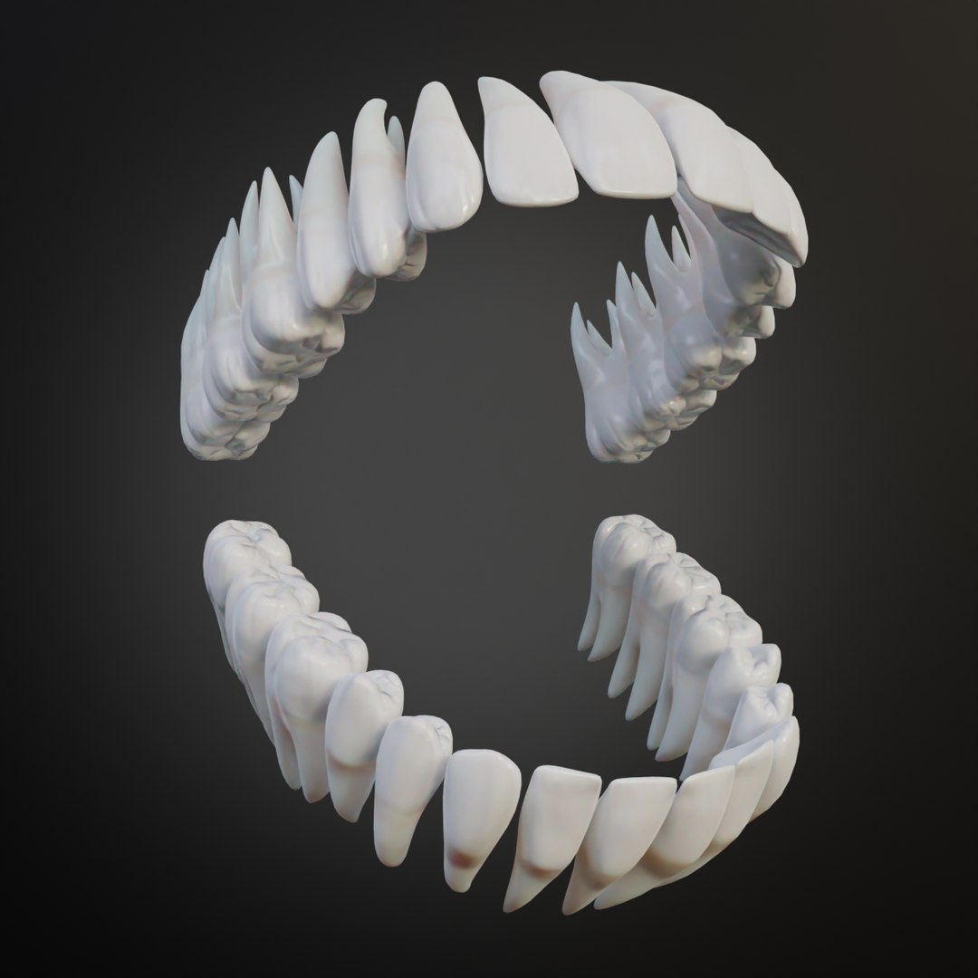 3D Model Clean Human Teeth Realistic And Detailed - TurboSquid 2338424