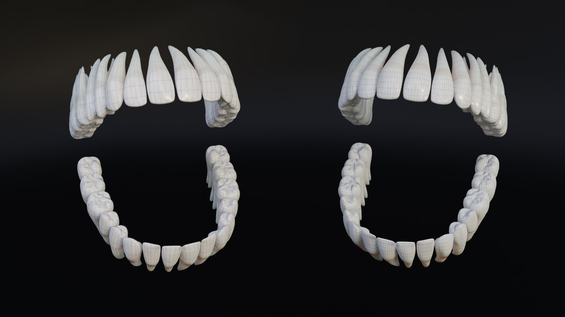 3D Model Clean Human Teeth Realistic And Detailed - TurboSquid 2338424