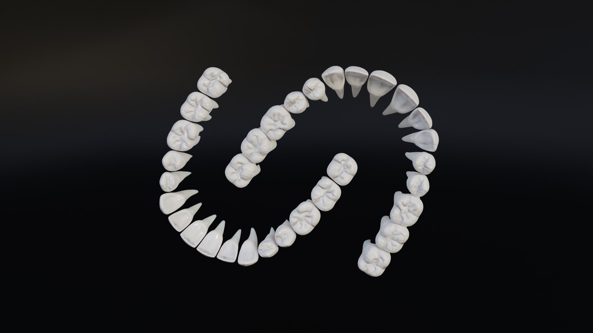 3D Model Clean Human Teeth Realistic And Detailed - TurboSquid 2338424