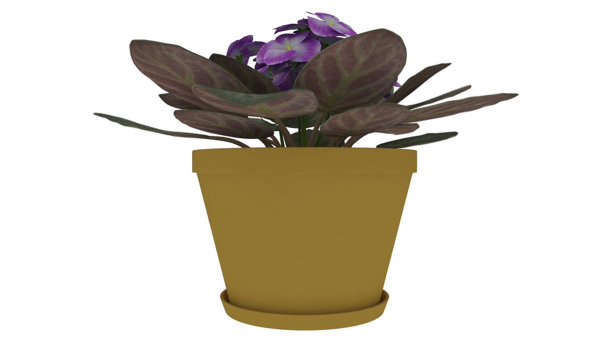 3D violet - TurboSquid 1489905