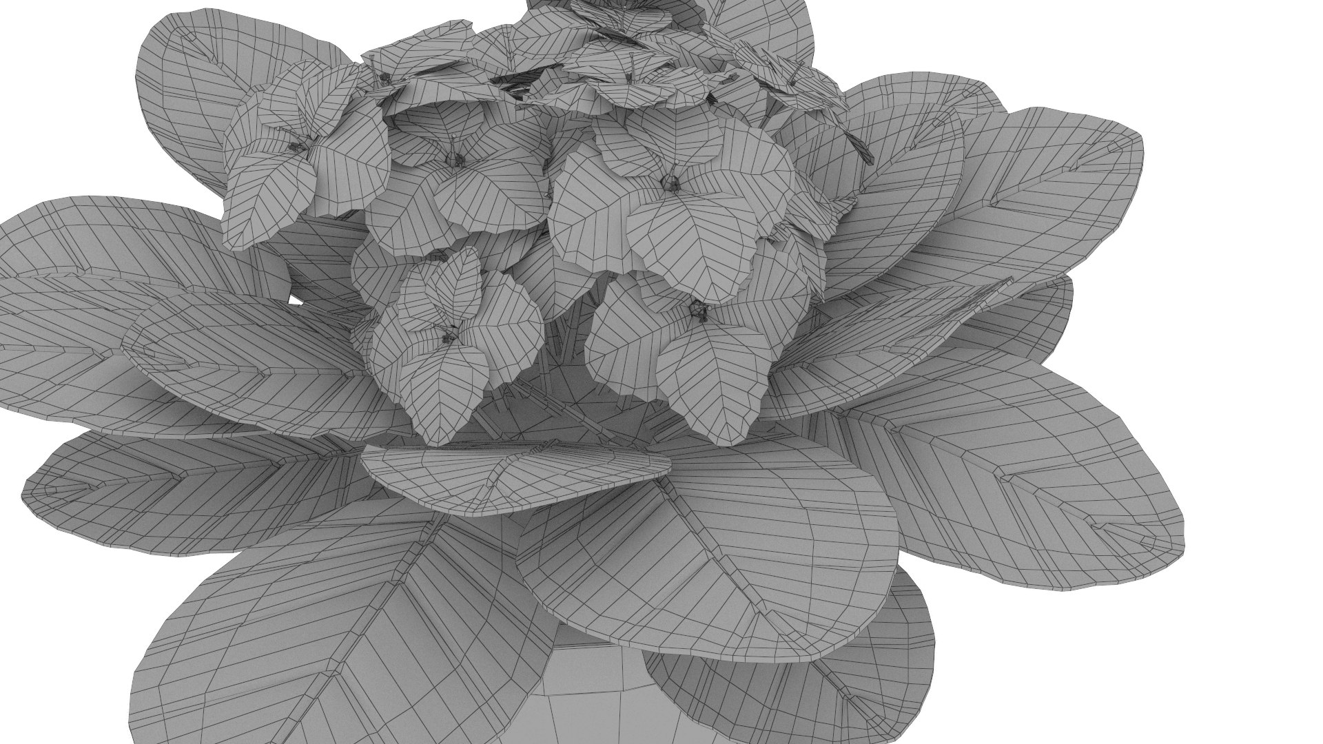 3D violet - TurboSquid 1489905