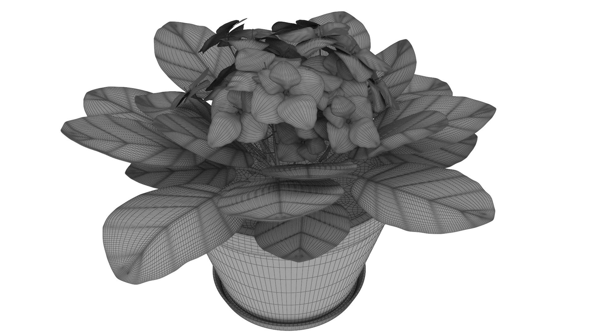 3D violet - TurboSquid 1489905