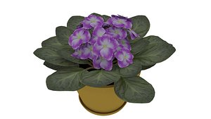 3D Violet Models - Browse & Download Formats - TurboSquid