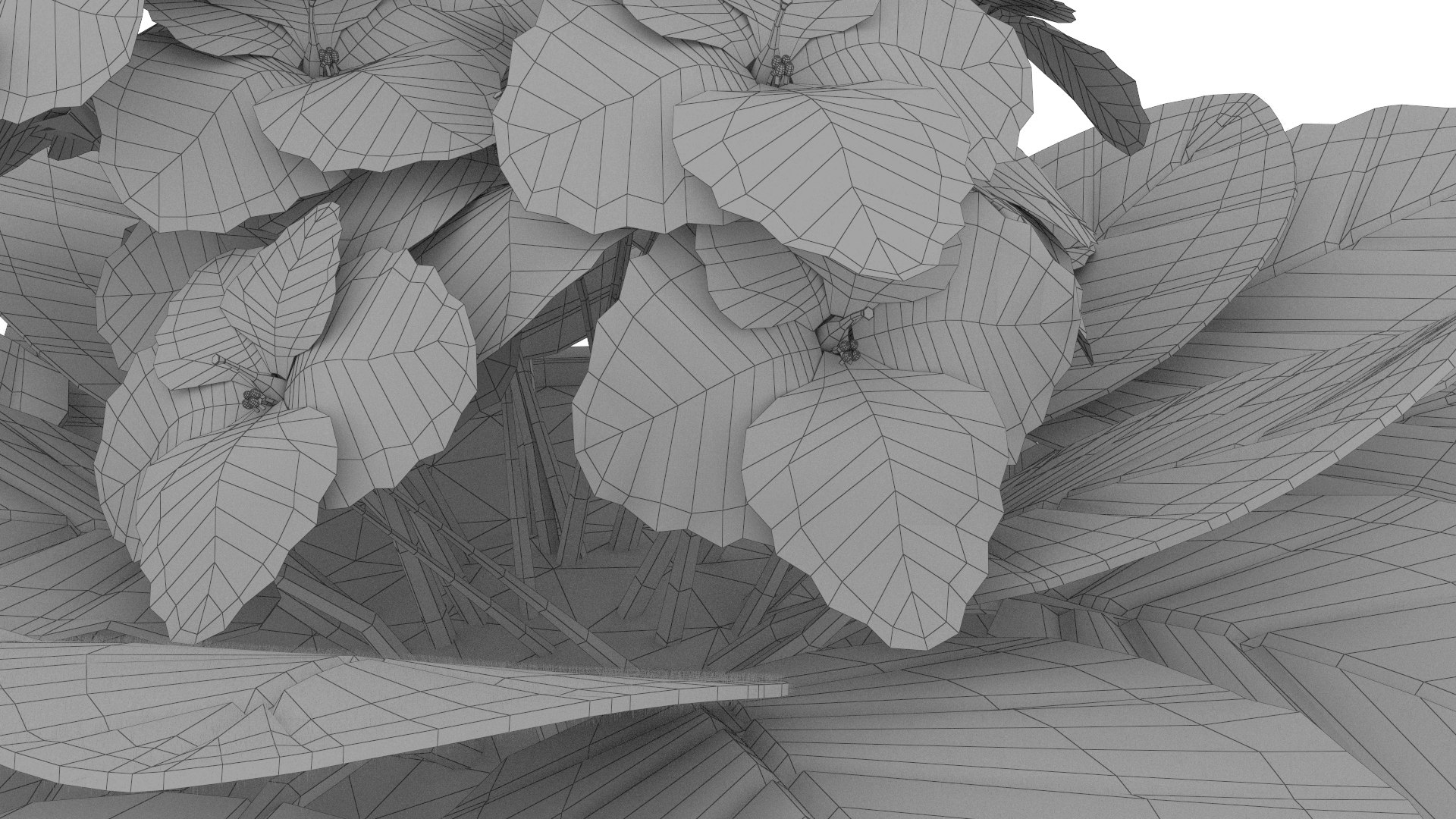 3D violet - TurboSquid 1489905