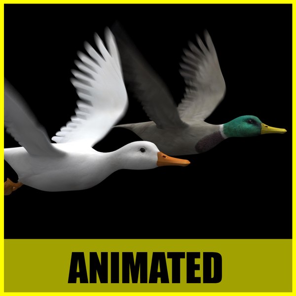 Animated Bird Blender Models for Download | TurboSquid