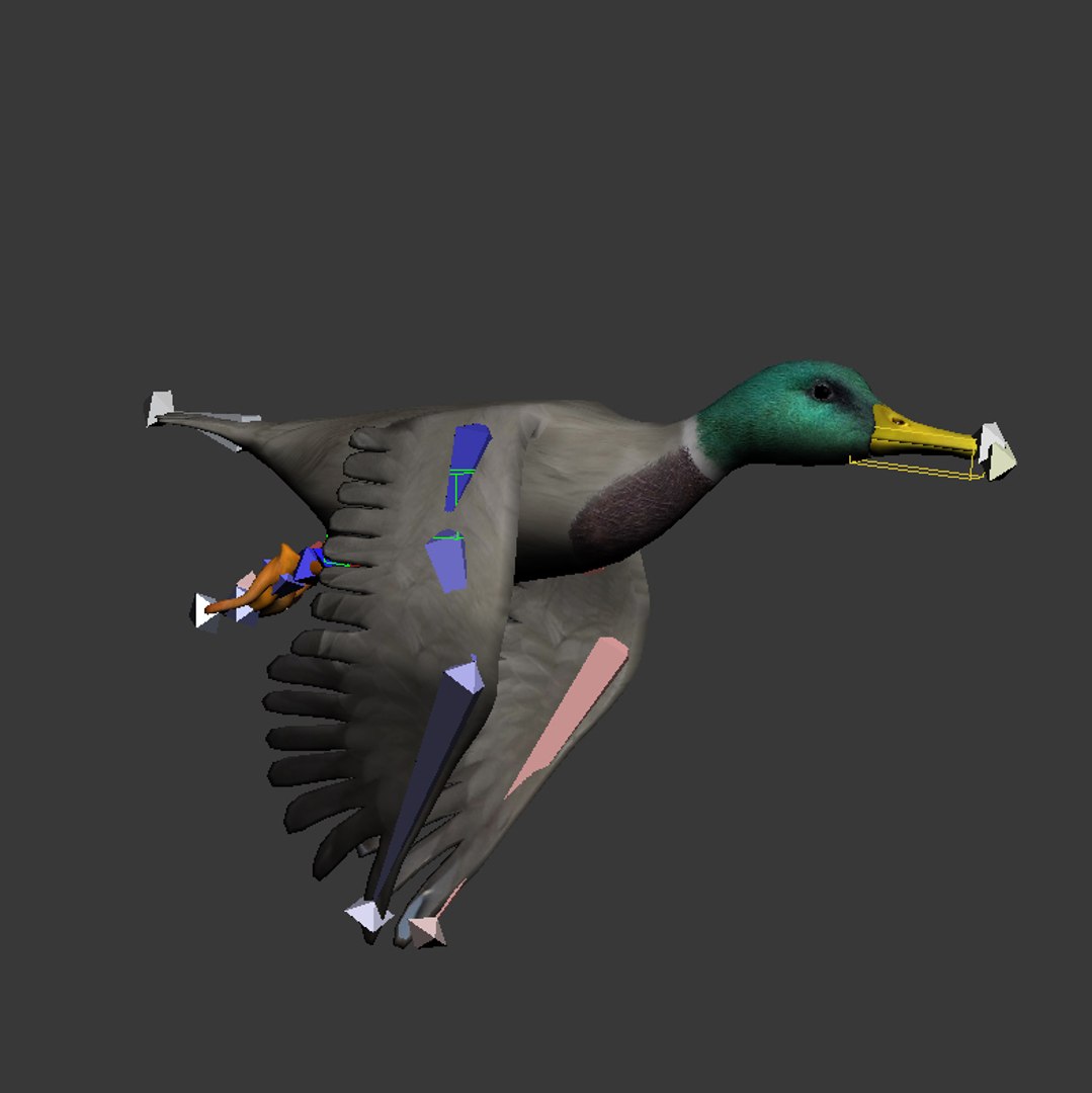 duck different flying animation 3d model