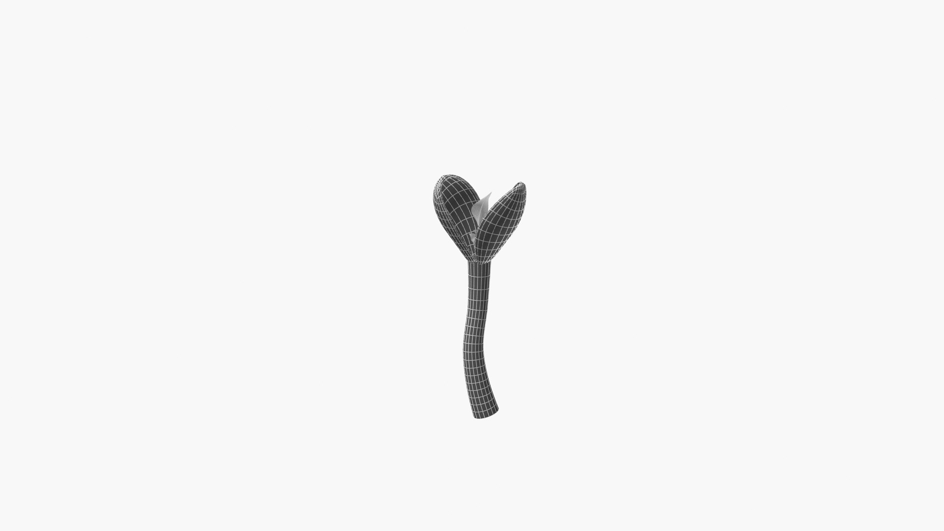 3d Germination Seed Model Turbosquid 1667479