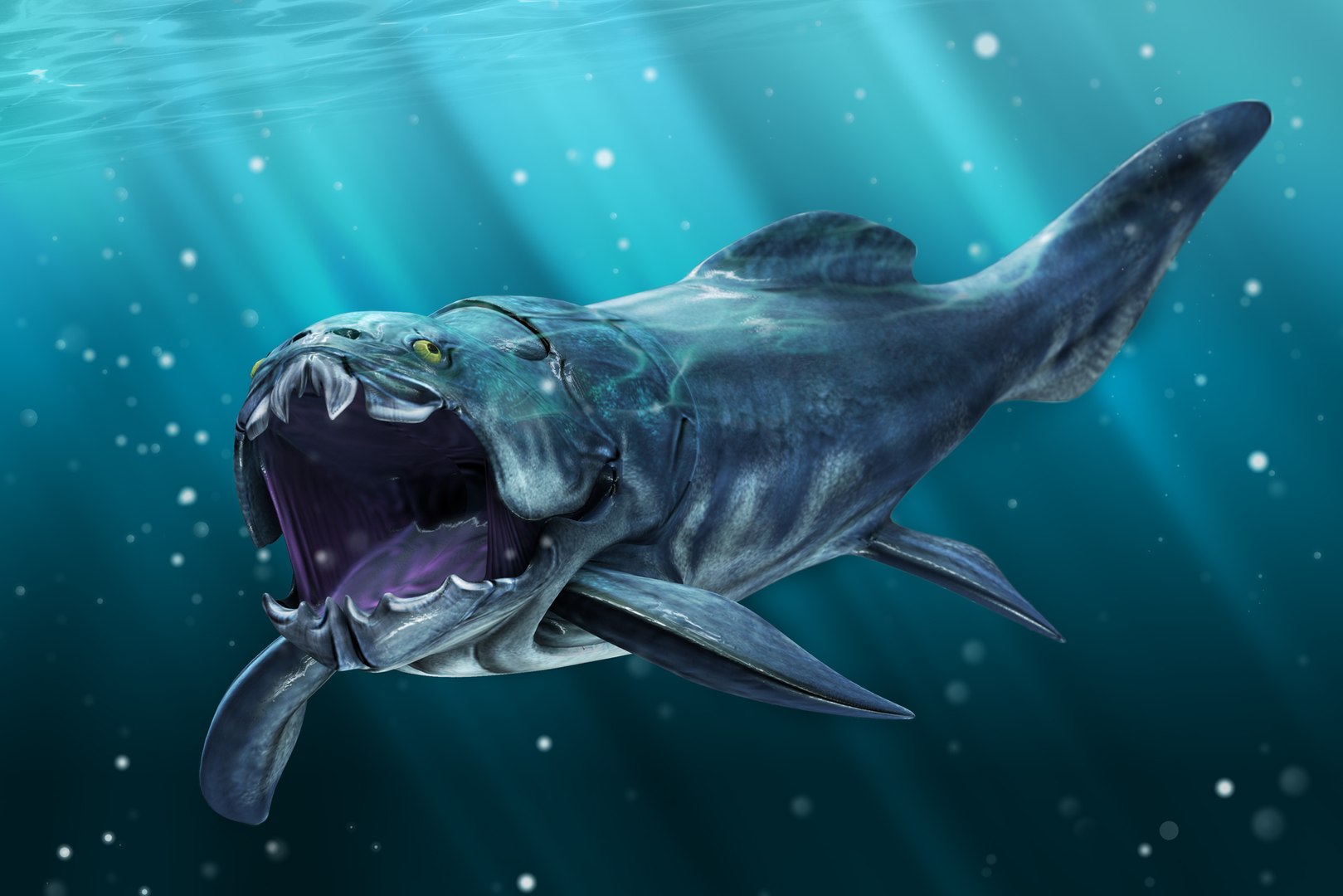 dunkleosteus