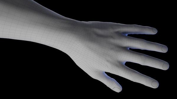 Male Integumentary System model - TurboSquid 2042124