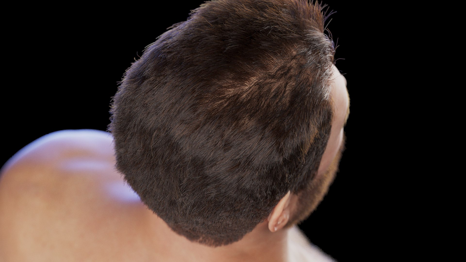 Male Integumentary System model - TurboSquid 2042124