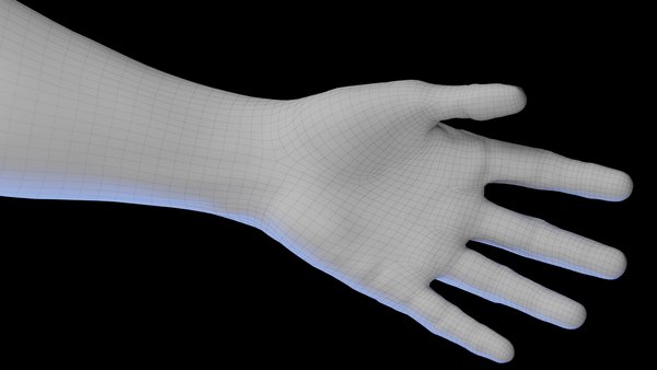 Male Integumentary System Modelo 3D - TurboSquid 2042124