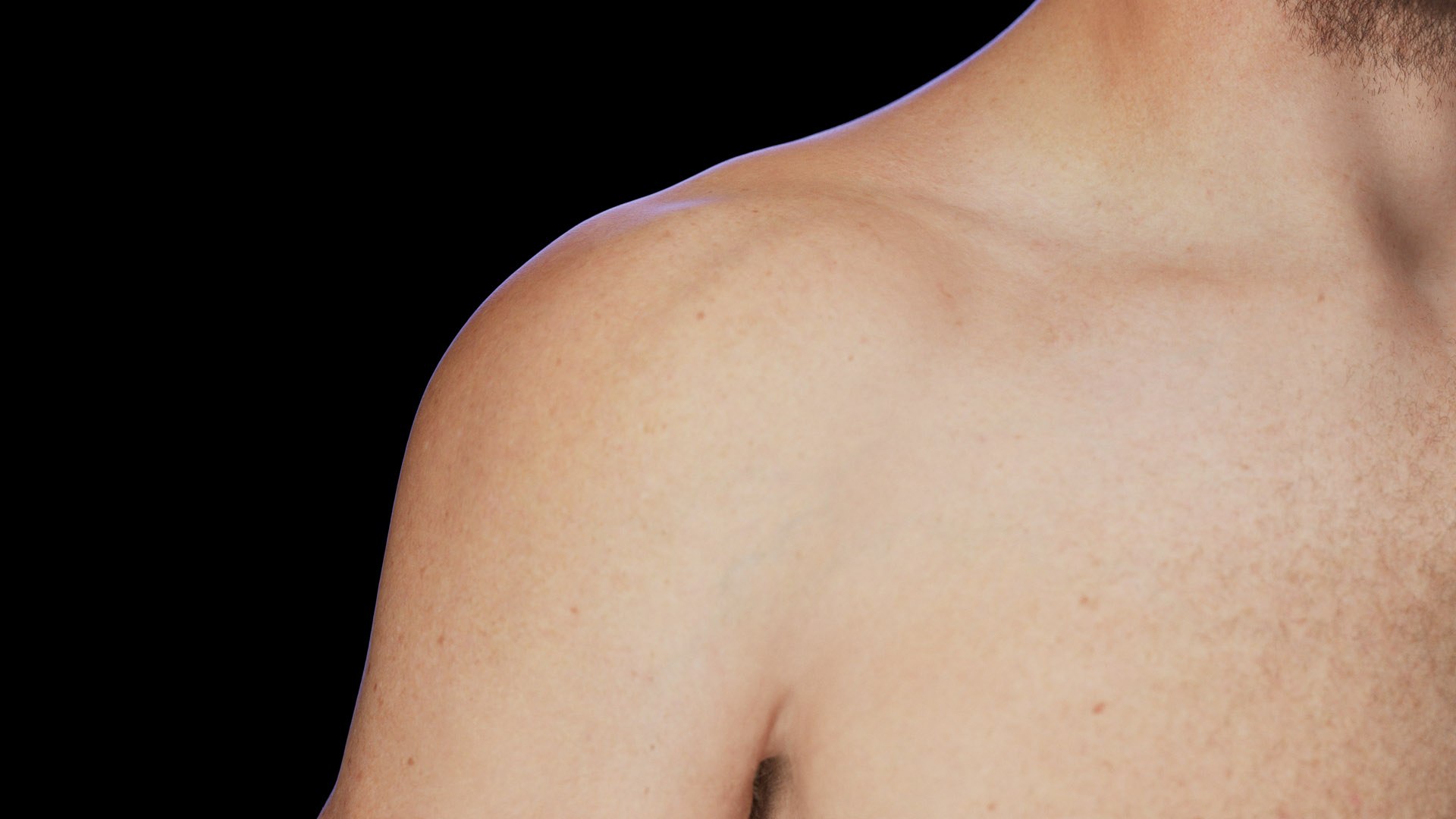 Male Integumentary System model - TurboSquid 2042124