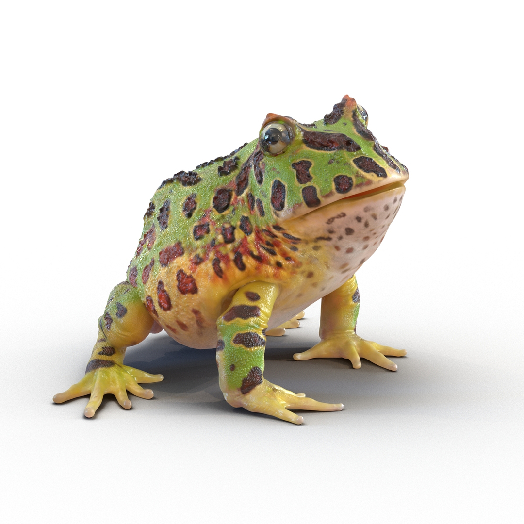 Pacman Frog Pose 3 3d Model