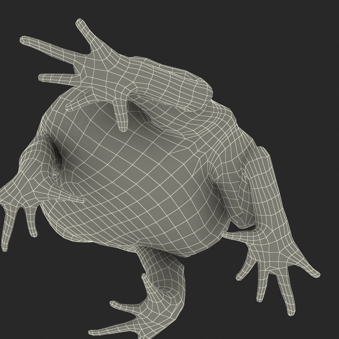 pacman frog pose 3 3d model