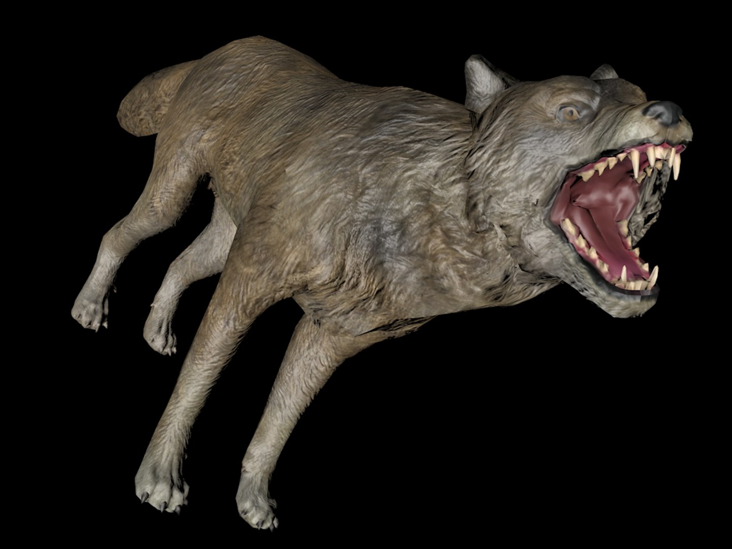 3D Model Wolf Rig - TurboSquid 1386562
