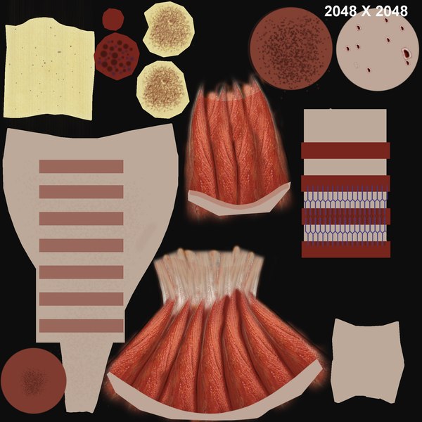 muscle tissue obj