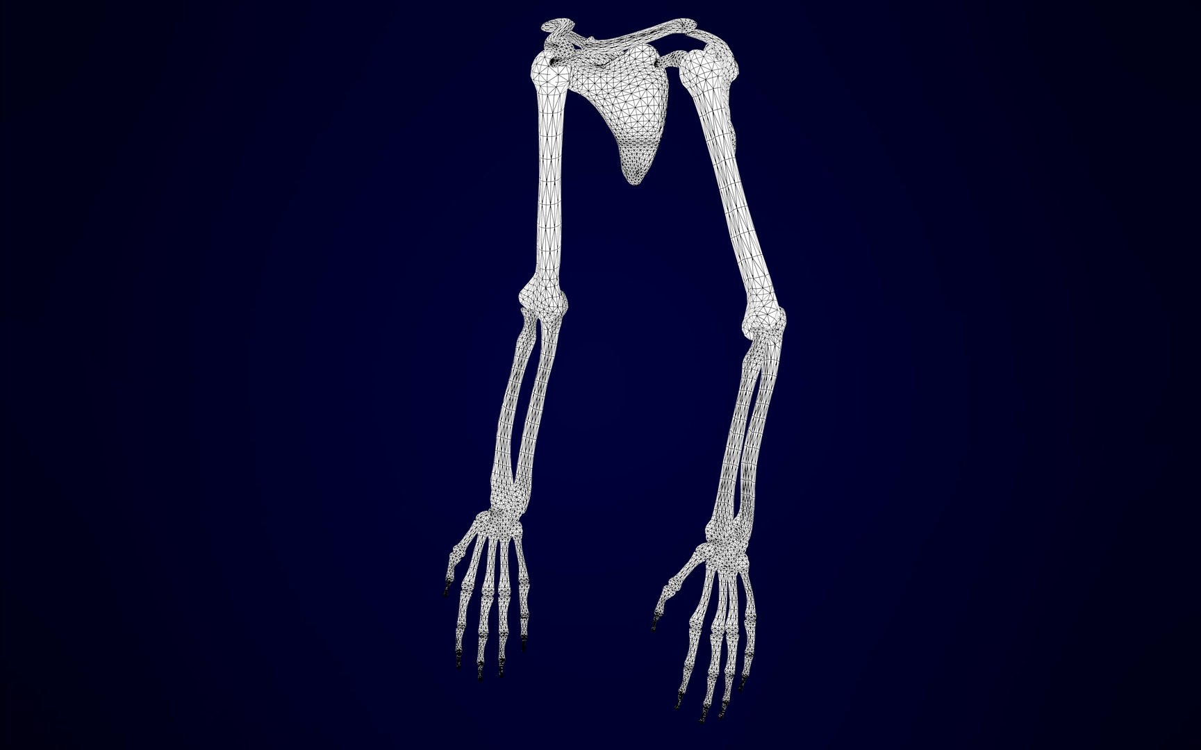 3D Centaur Skeleton - TurboSquid 1525995