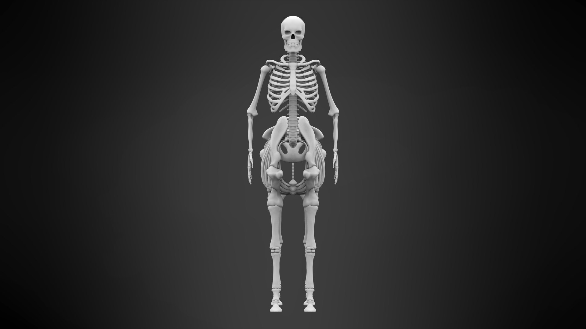 3D Centaur Skeleton - TurboSquid 1525995