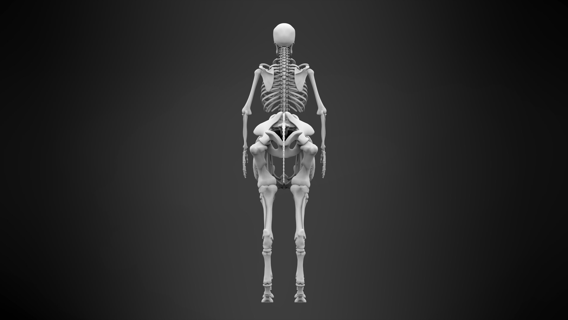 3D Centaur Skeleton - TurboSquid 1525995