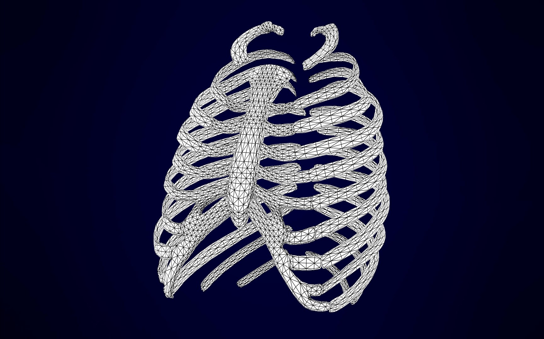 3D Centaur Skeleton - TurboSquid 1525995