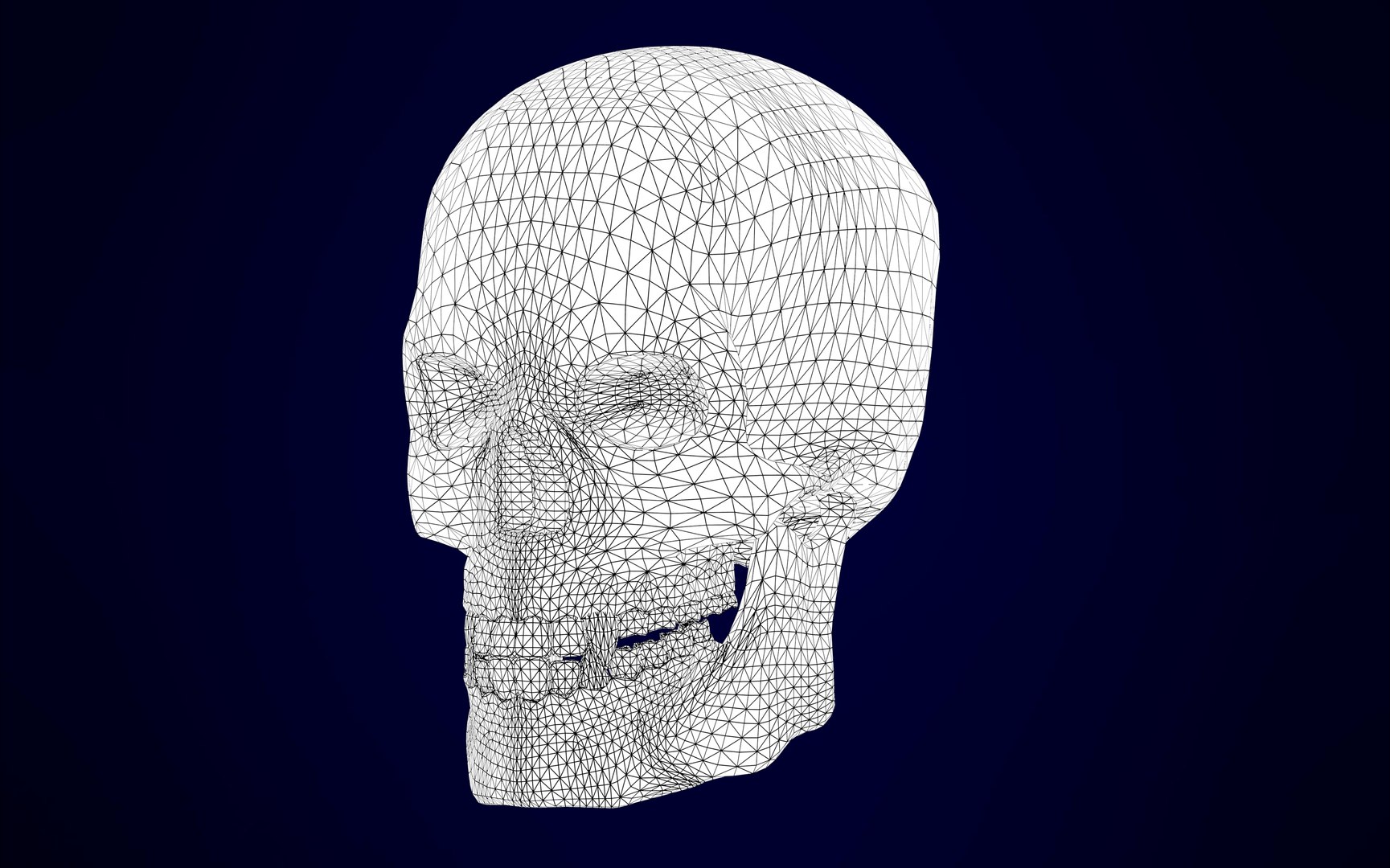 3D Centaur Skeleton - TurboSquid 1525995