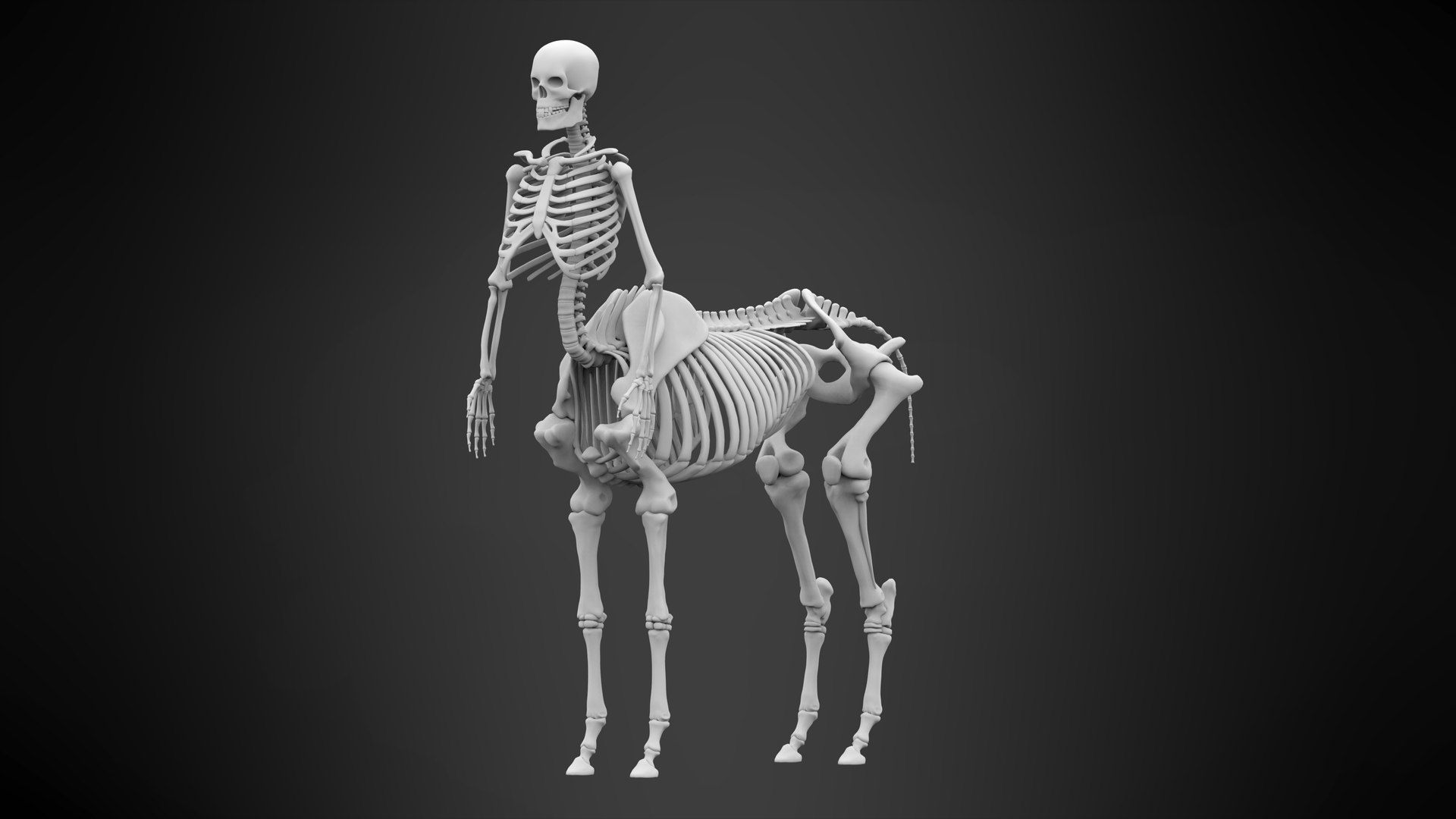 3D Centaur Skeleton - TurboSquid 1525995