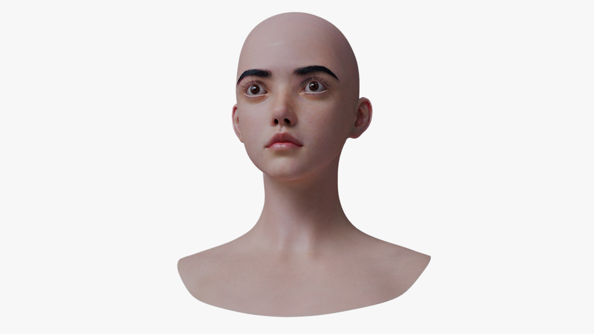 Asian Female Head Base Mesh Metahuman Topology V4 Model - TurboSquid ...